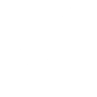 Vi-Shape | The O.G. Nutritional Shake